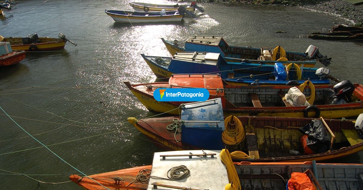 Fotos de Ancud: fotos e imágenes de Ancud