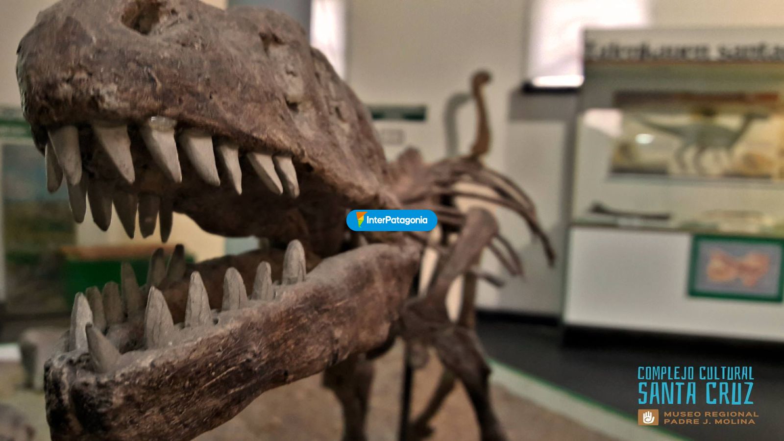 Rio Gallegos Museums