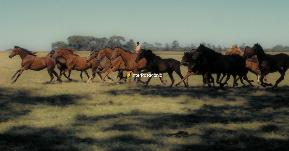 Santa Rosa Hoteles y turismo en Santa Rosa, Argentina
