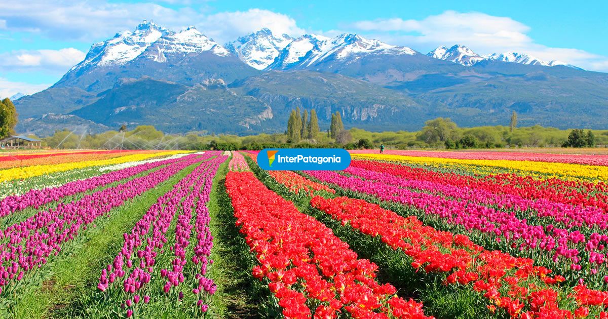 Hoteles en Trevelin, listados y precios de alojamiento en Trevelin ...